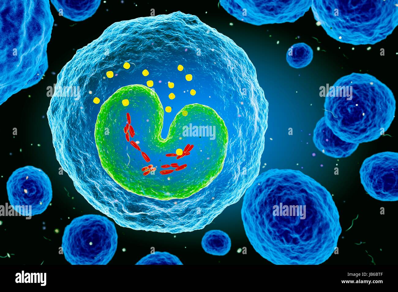 Monocyte cell hi-res stock photography and images - Alamy