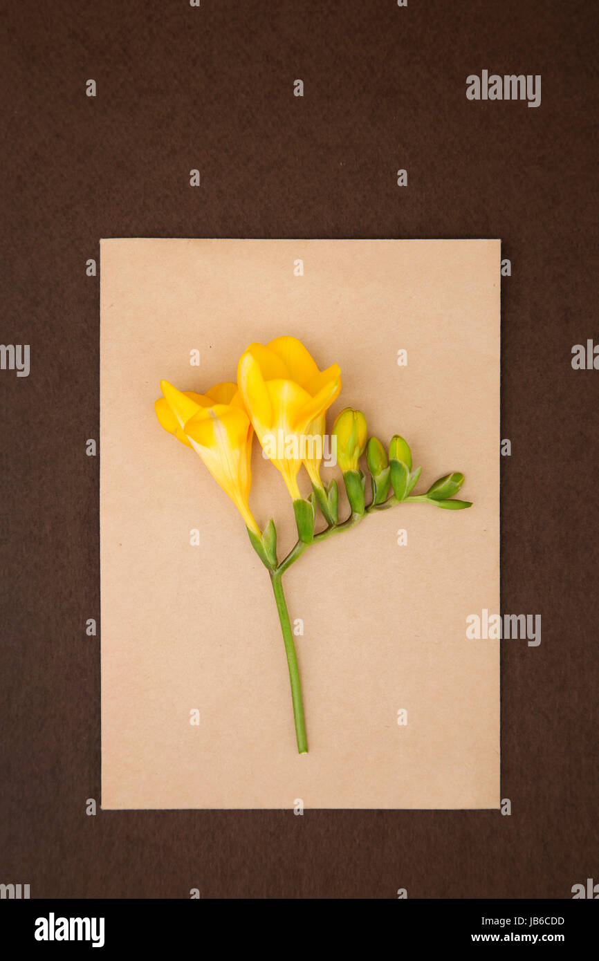 The flowers 102 Stock Photo - Alamy