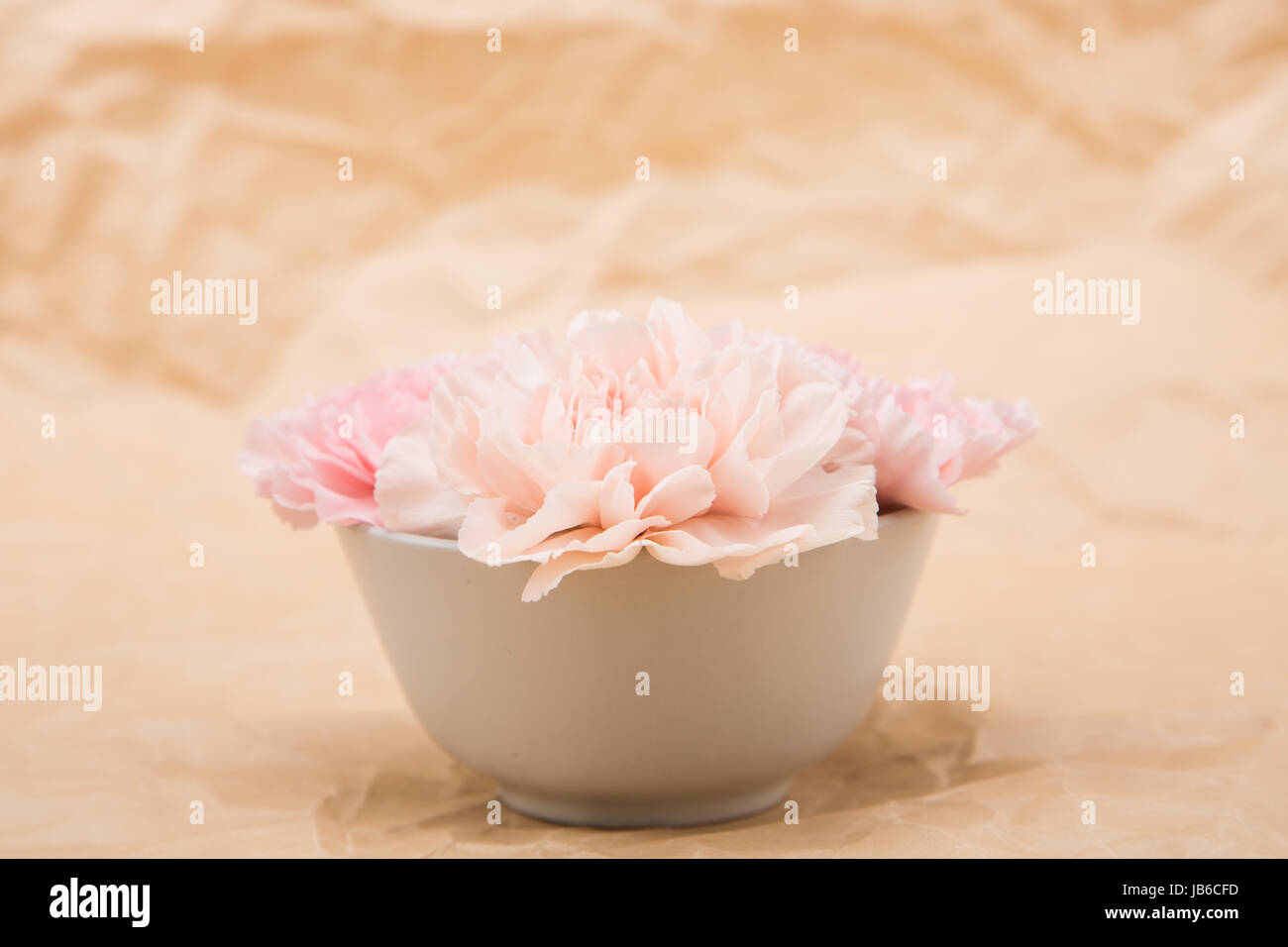 The flowers 125 Stock Photo - Alamy