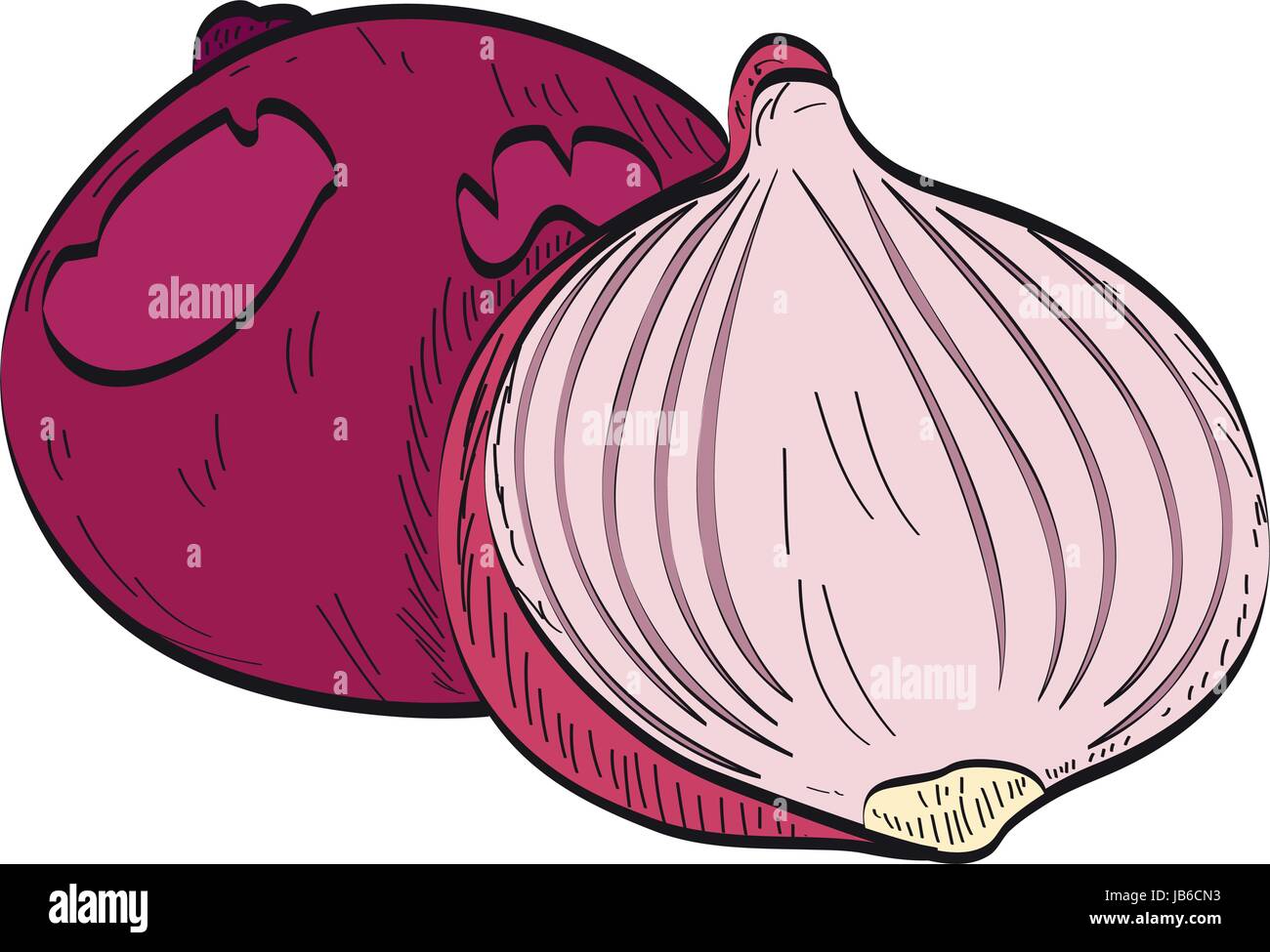 Outline and color pair Stock Vector Images - Alamy