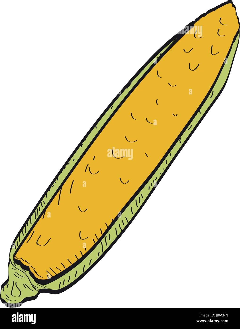 Isolated corn illustration Stock Vector Image & Art - Alamy