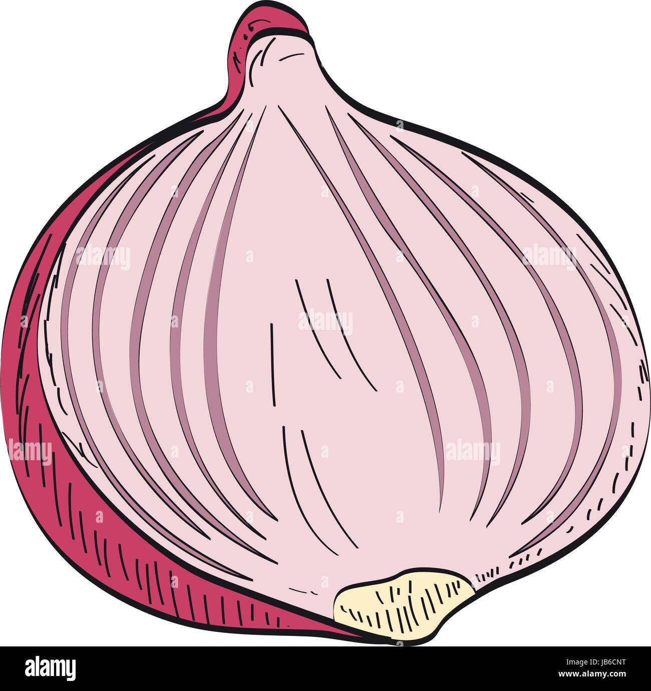 Clip Art Cutting An Onion