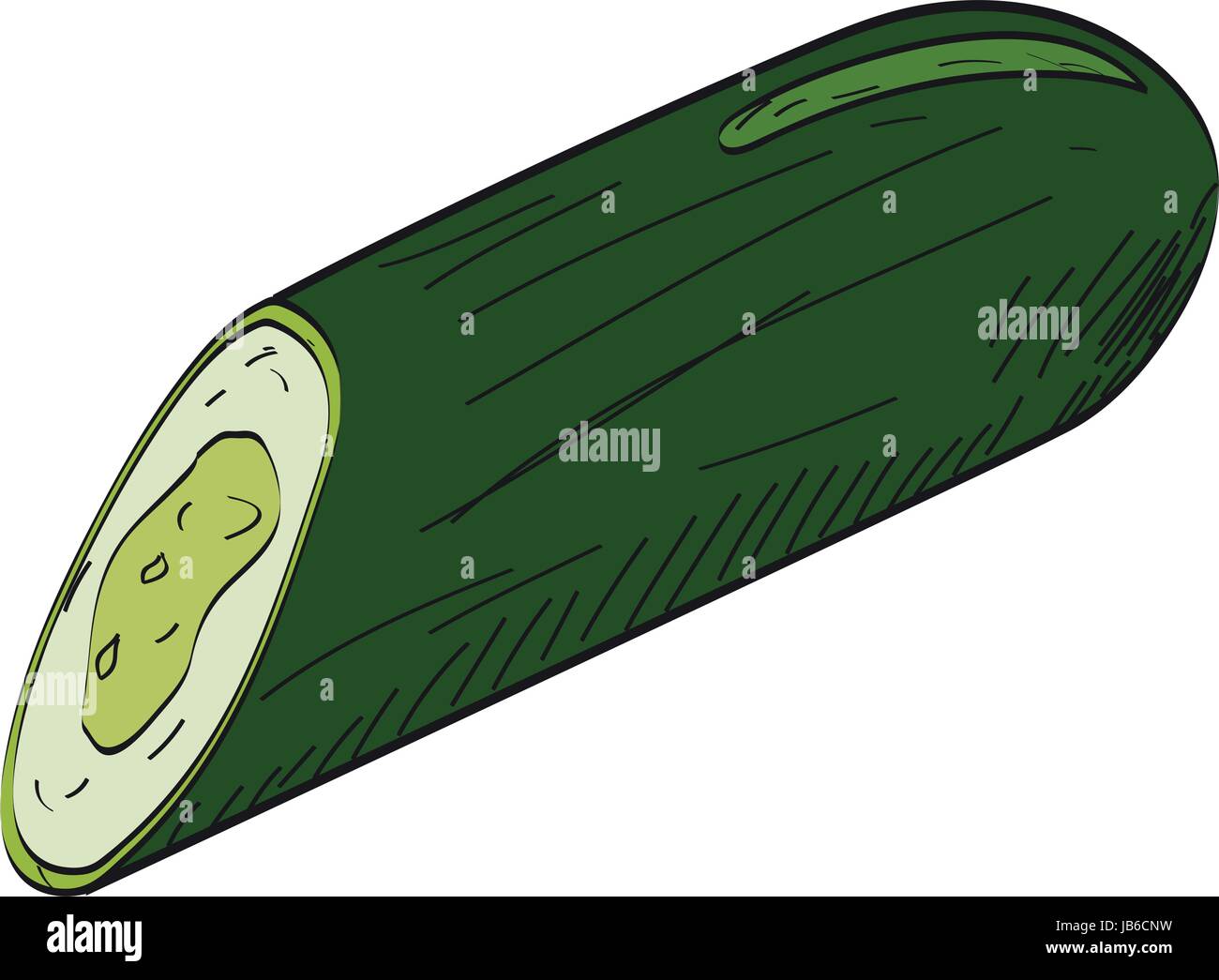 Cut cucumber Stock Vector Images - Alamy