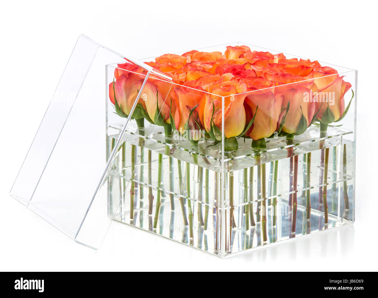 Bunch of orange roses in container over white background Stock Photo ...