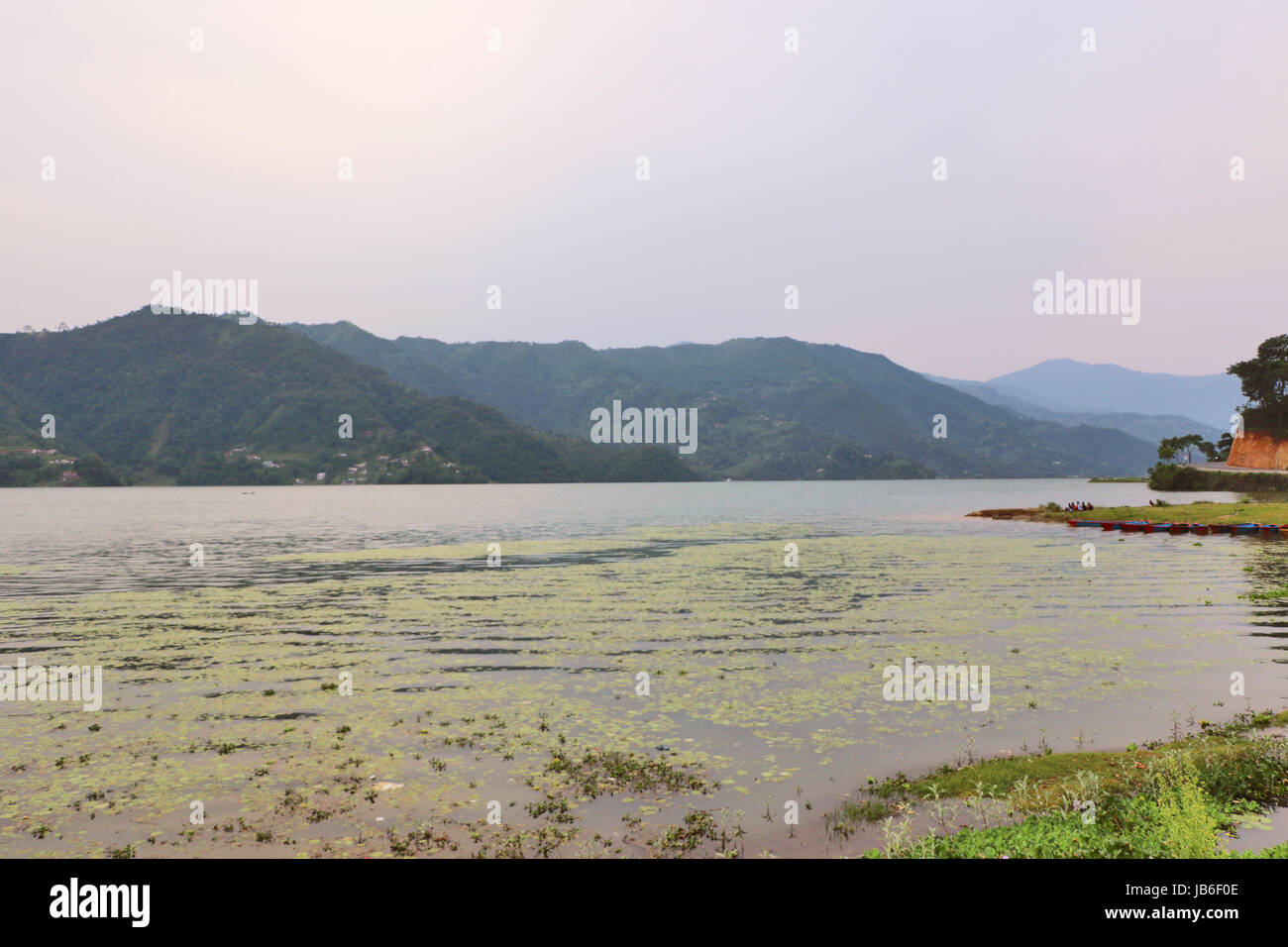 Phewa Lake, Pokhara, Nepal Stock Photo - Alamy