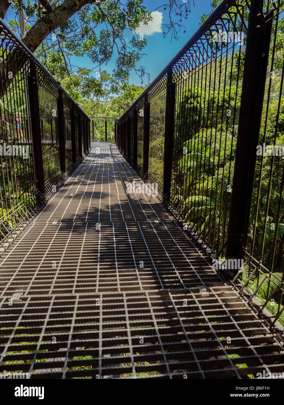 Walkway Through The Trees Stock Photo - Alamy