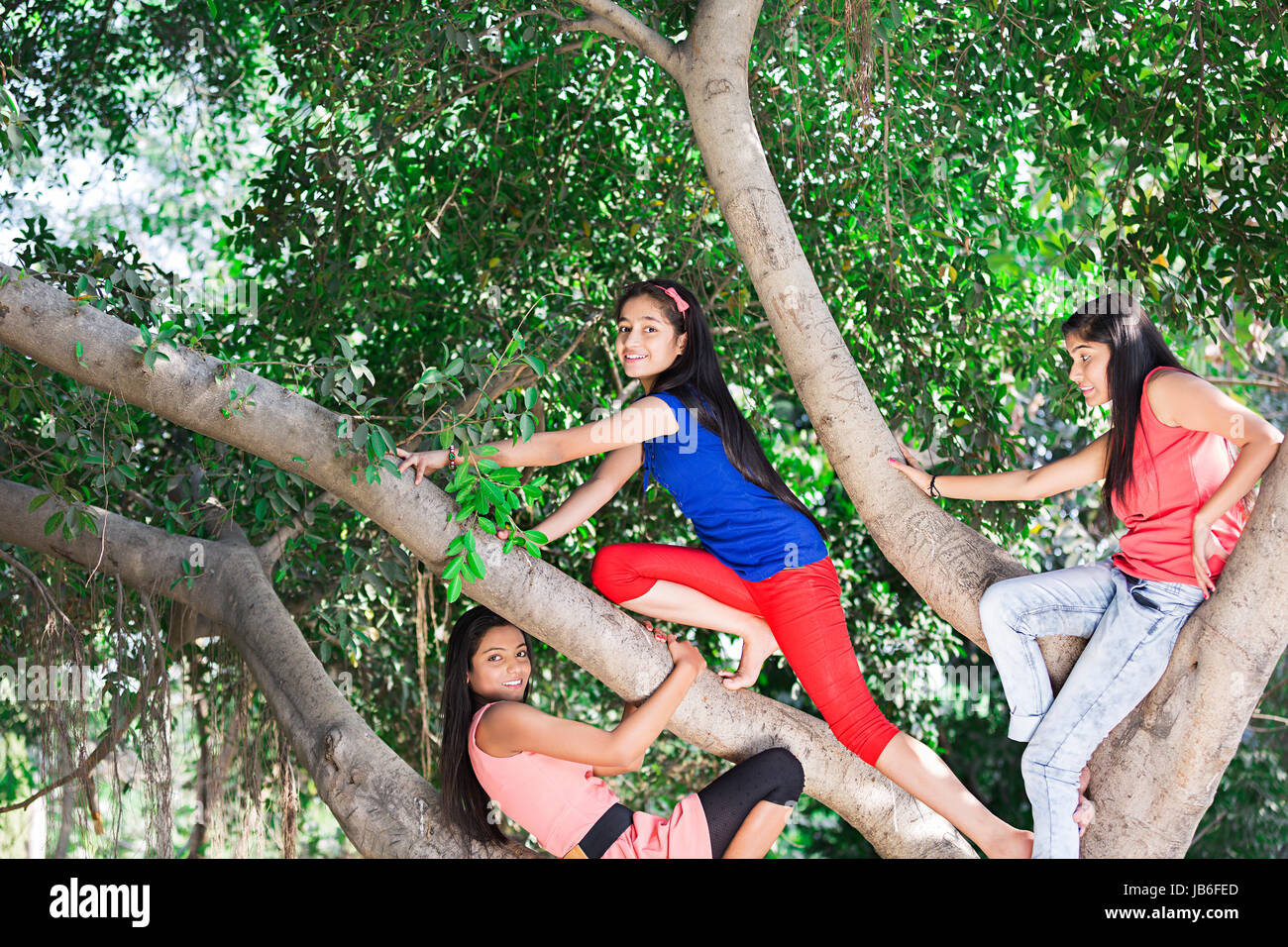 3 Indian Teenage Young Girls Climb Tree Branch In Park Enjoying Smiling ...