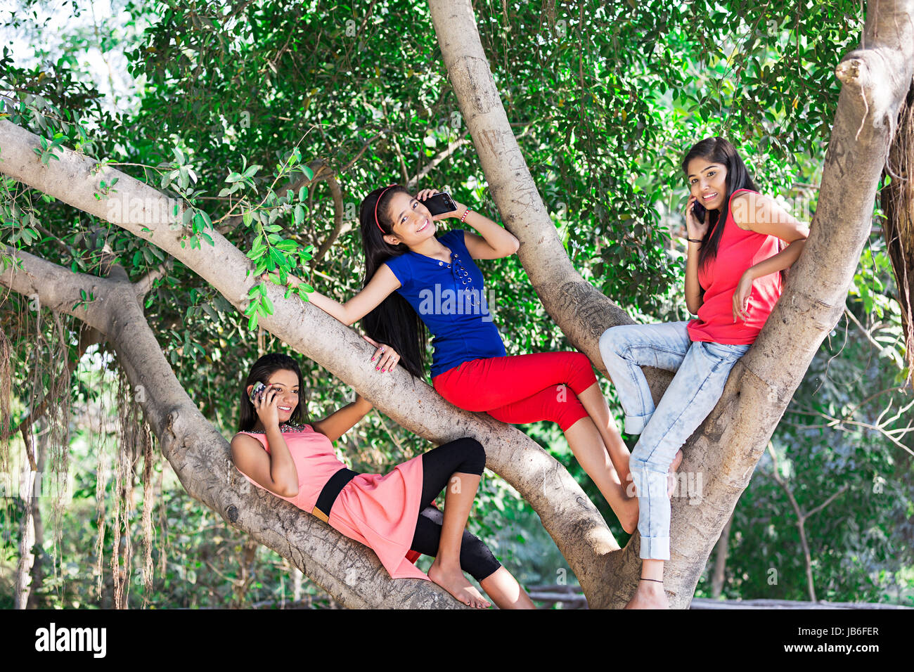 Teenage girls sitting on tree hi-res stock photography and images - Alamy