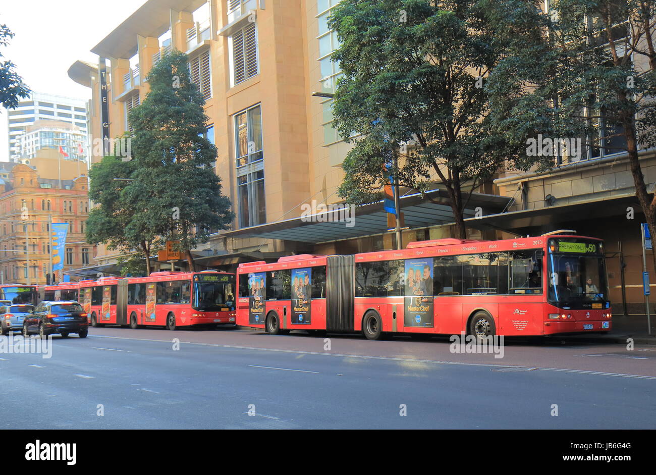 Sydney buses hi-res stock photography and images - Alamy