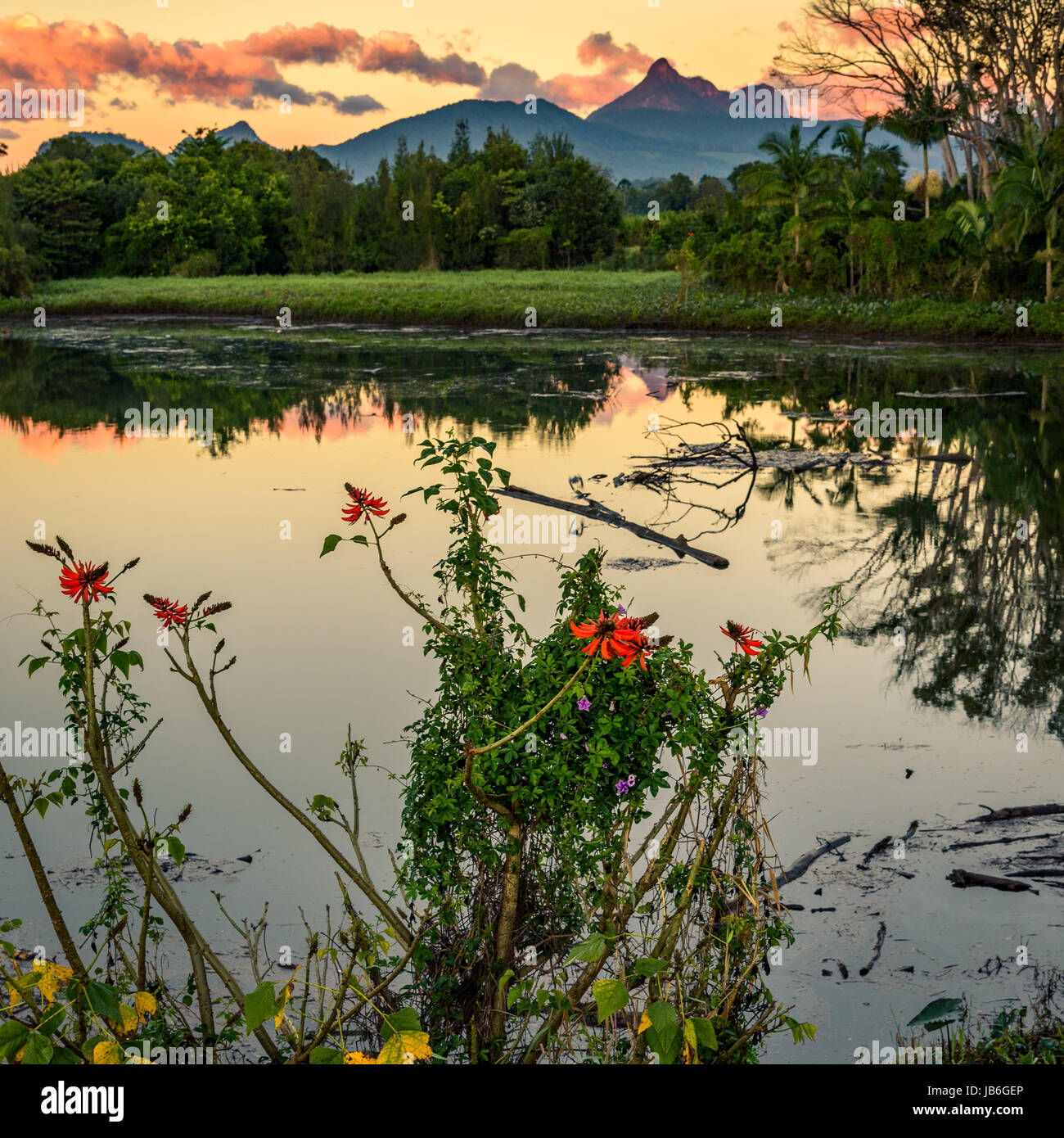 Mount Warning High Resolution Stock Photography and Images - Alamy