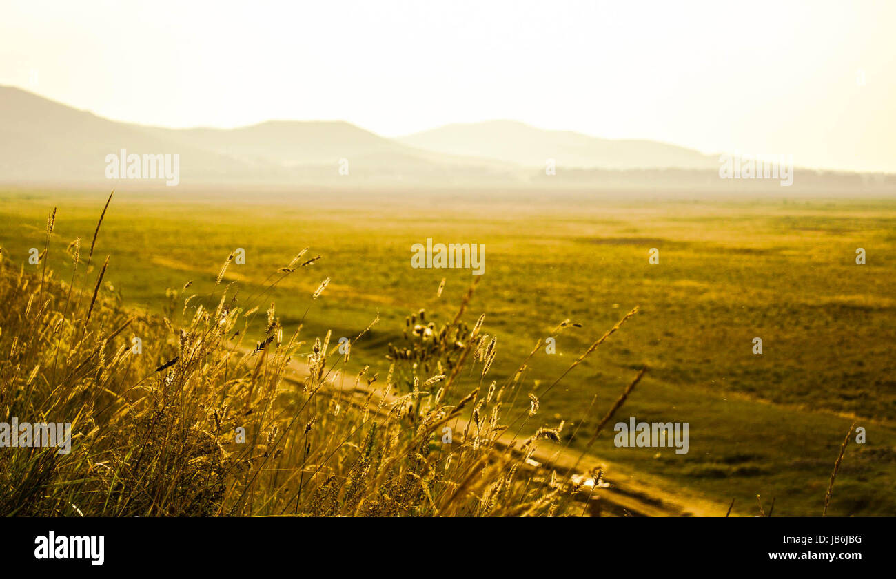 Chengde hebei bashang scenery hi-res stock photography and images - Alamy