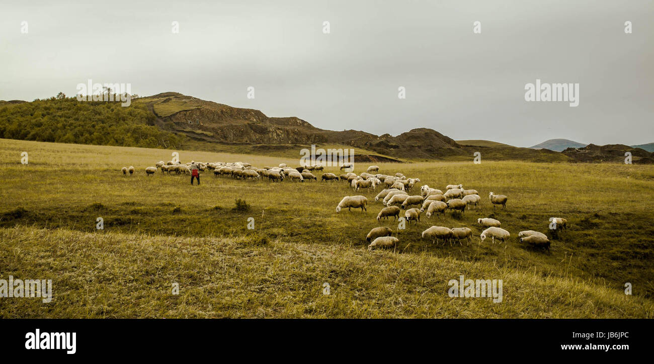 Chengde hebei bashang scenery hi-res stock photography and images - Alamy