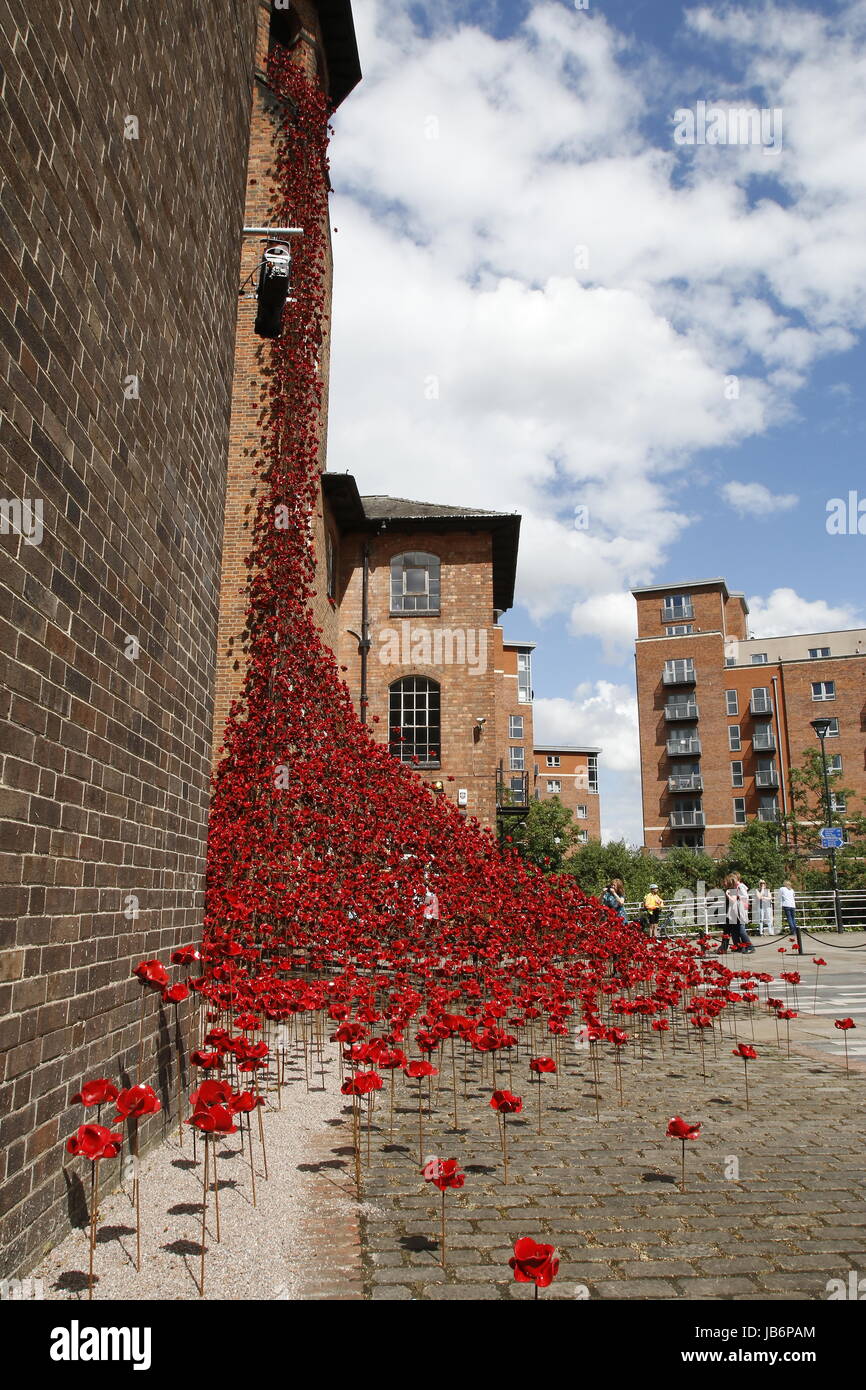 Poppies weeping window paul cummins hi-res stock photography and images ...