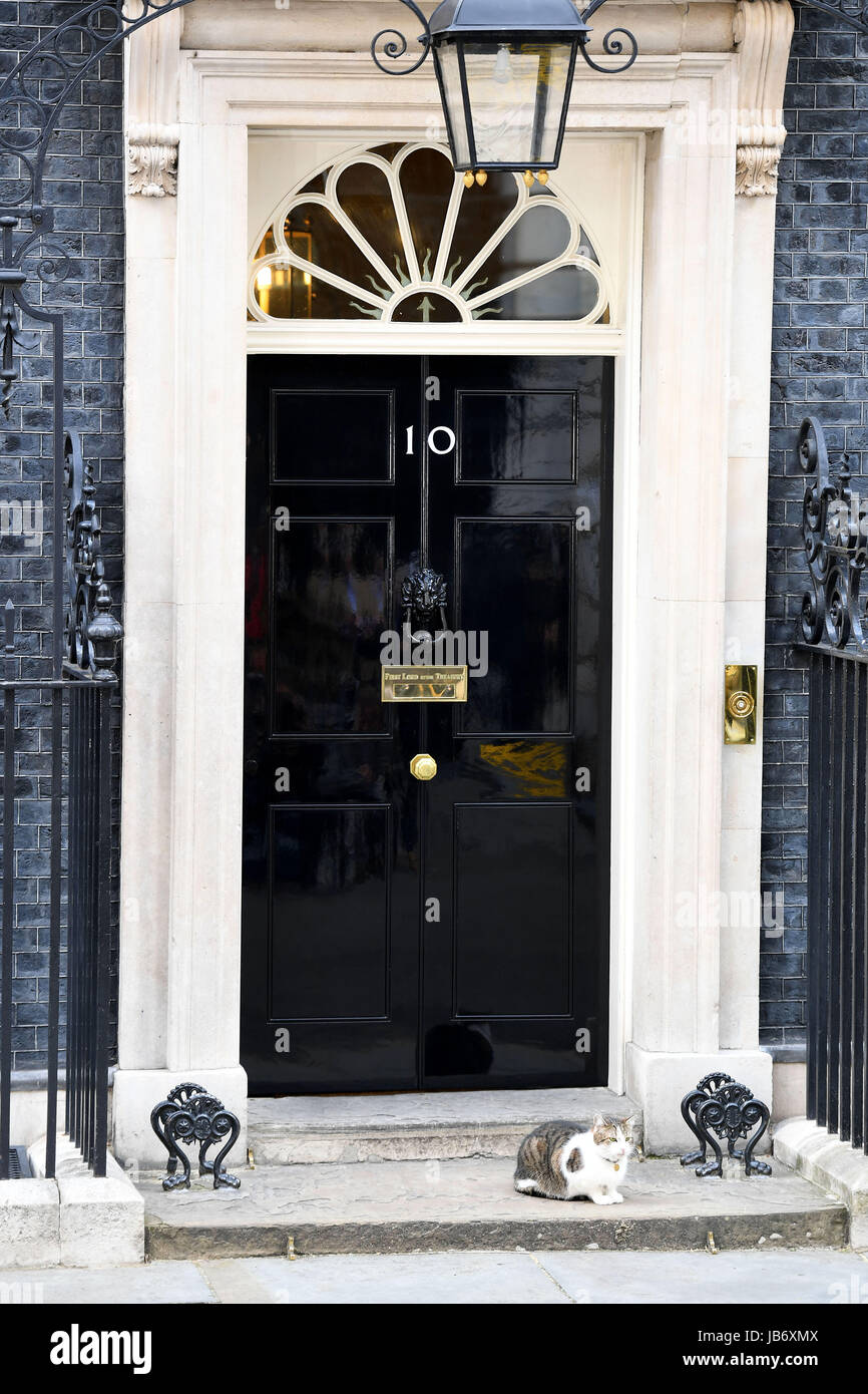 Number 10 cat hi-res stock photography and images - Alamy