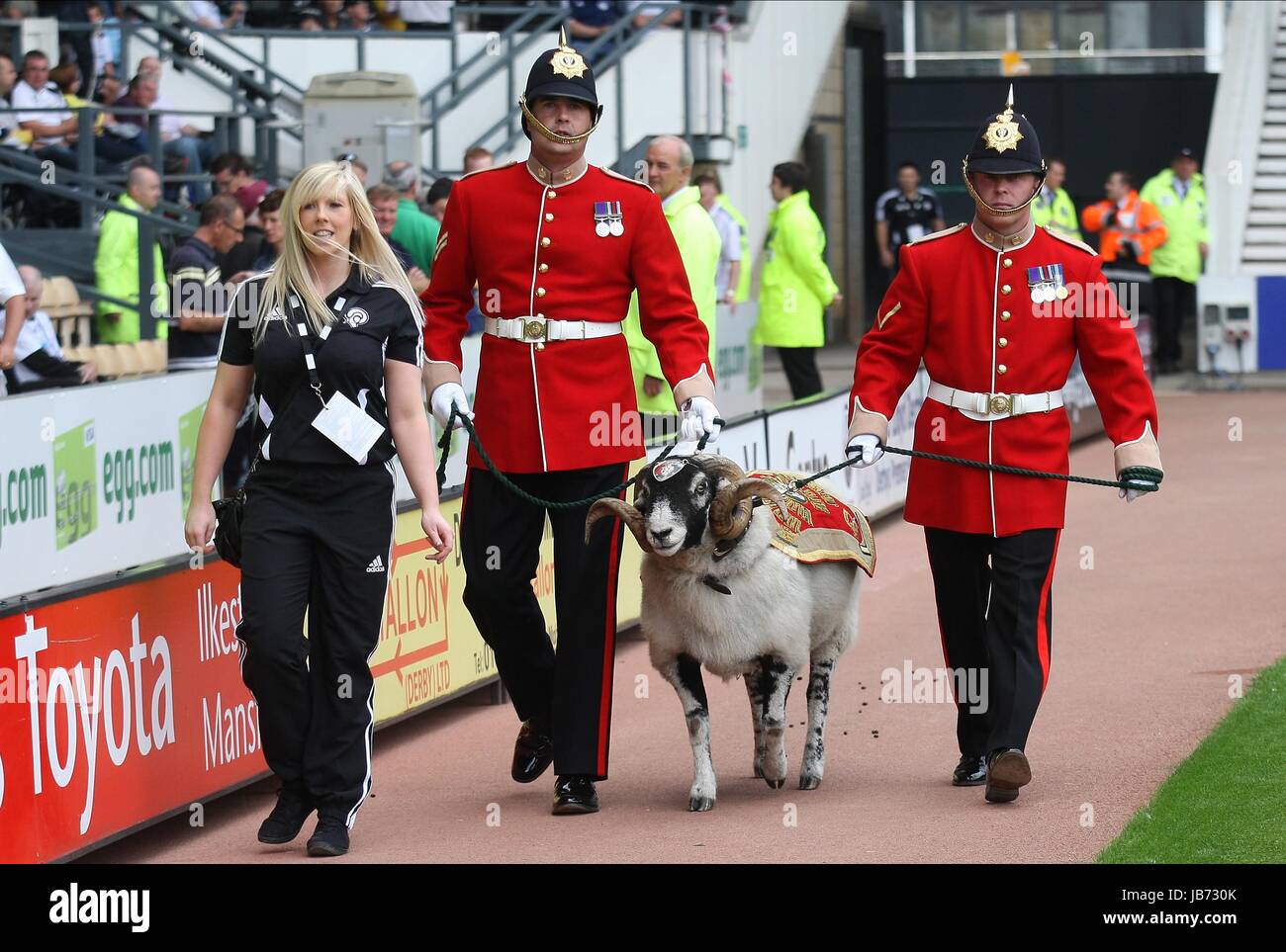 Derby ram hi-res stock photography and images - Alamy