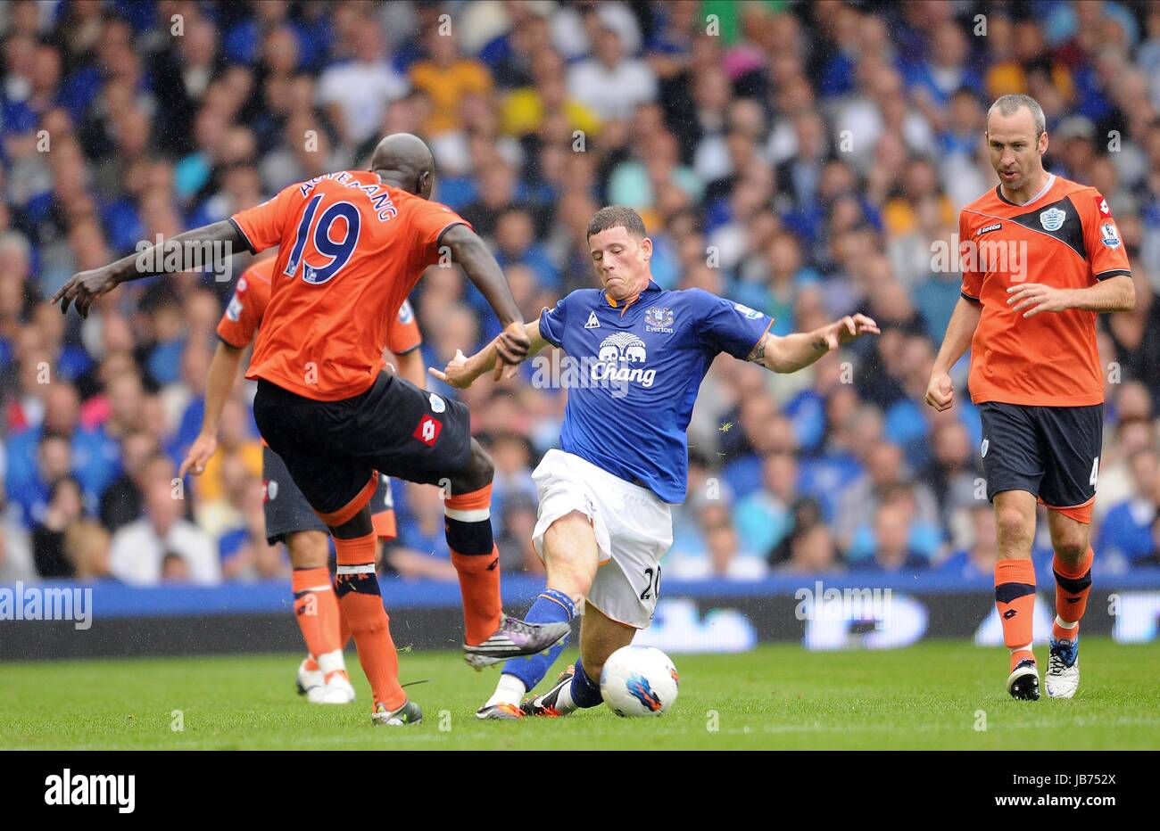 Barkle hi-res stock photography and images - Alamy