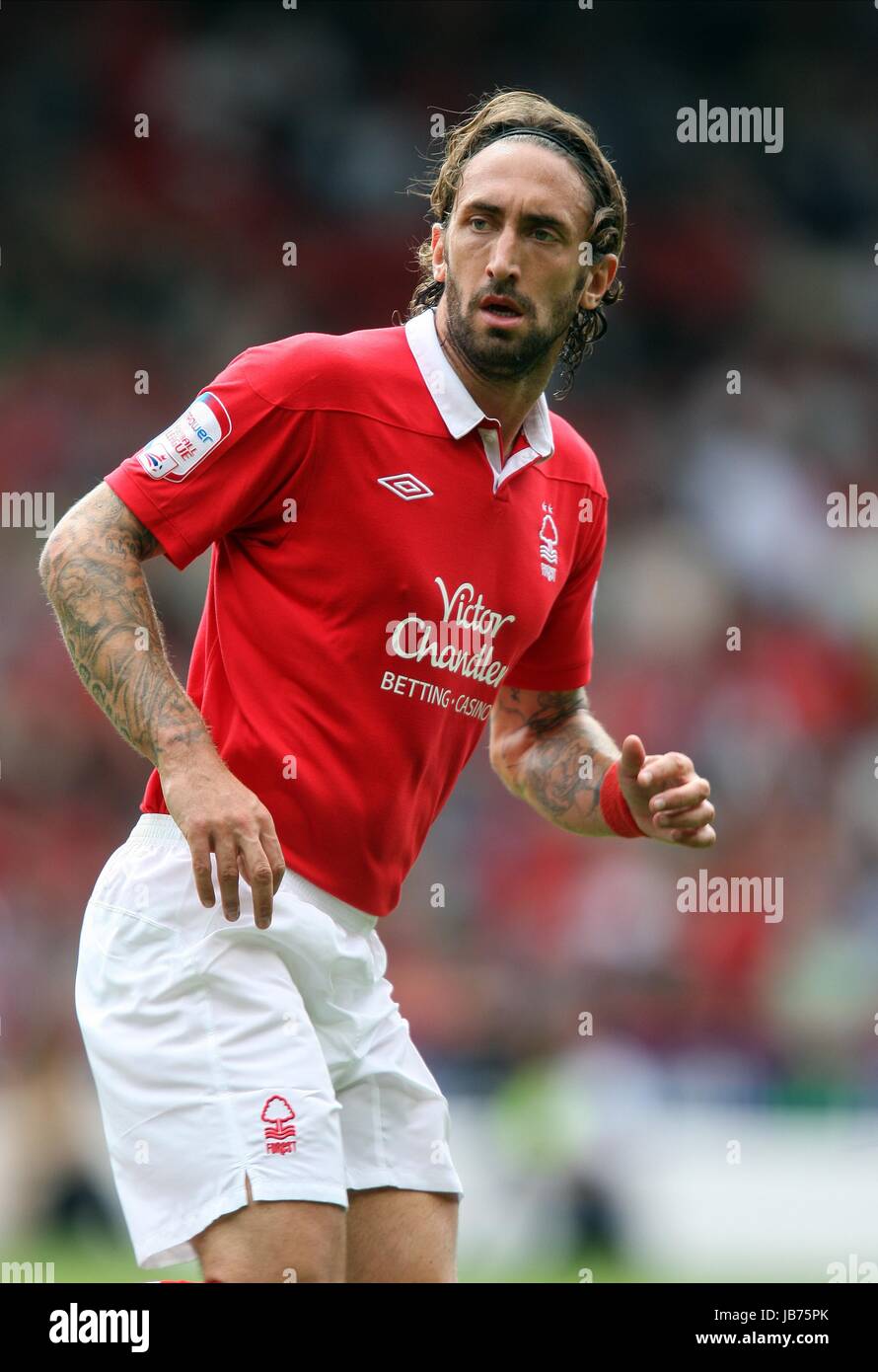 Jonathan greening forest hi-res stock photography and images - Alamy