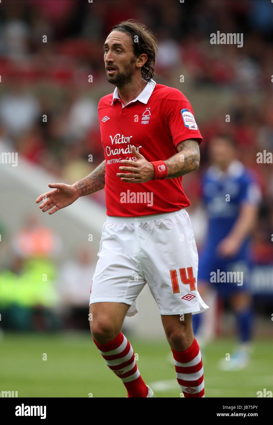 Jonathan greening forest hi-res stock photography and images - Alamy