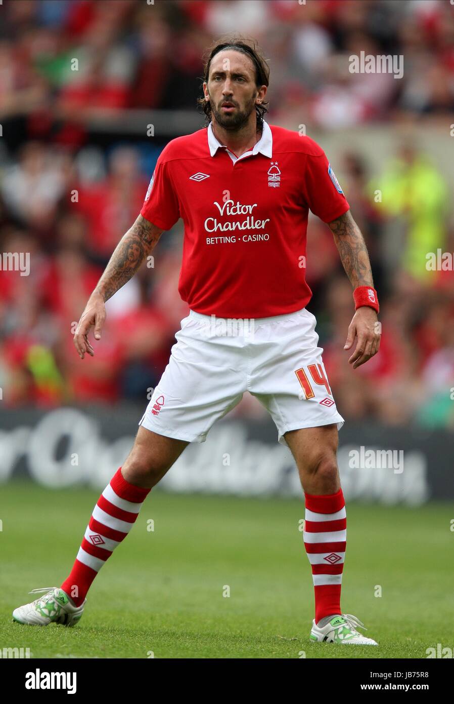 Jonathan greening forest hi-res stock photography and images - Alamy