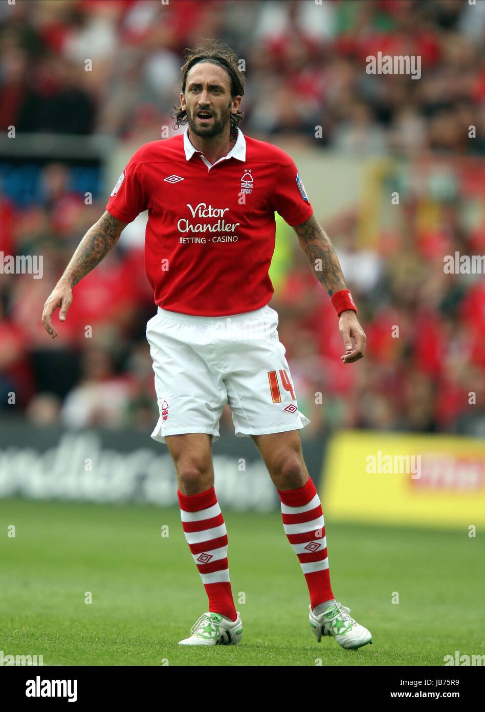 Jonathan greening forest hi-res stock photography and images - Alamy