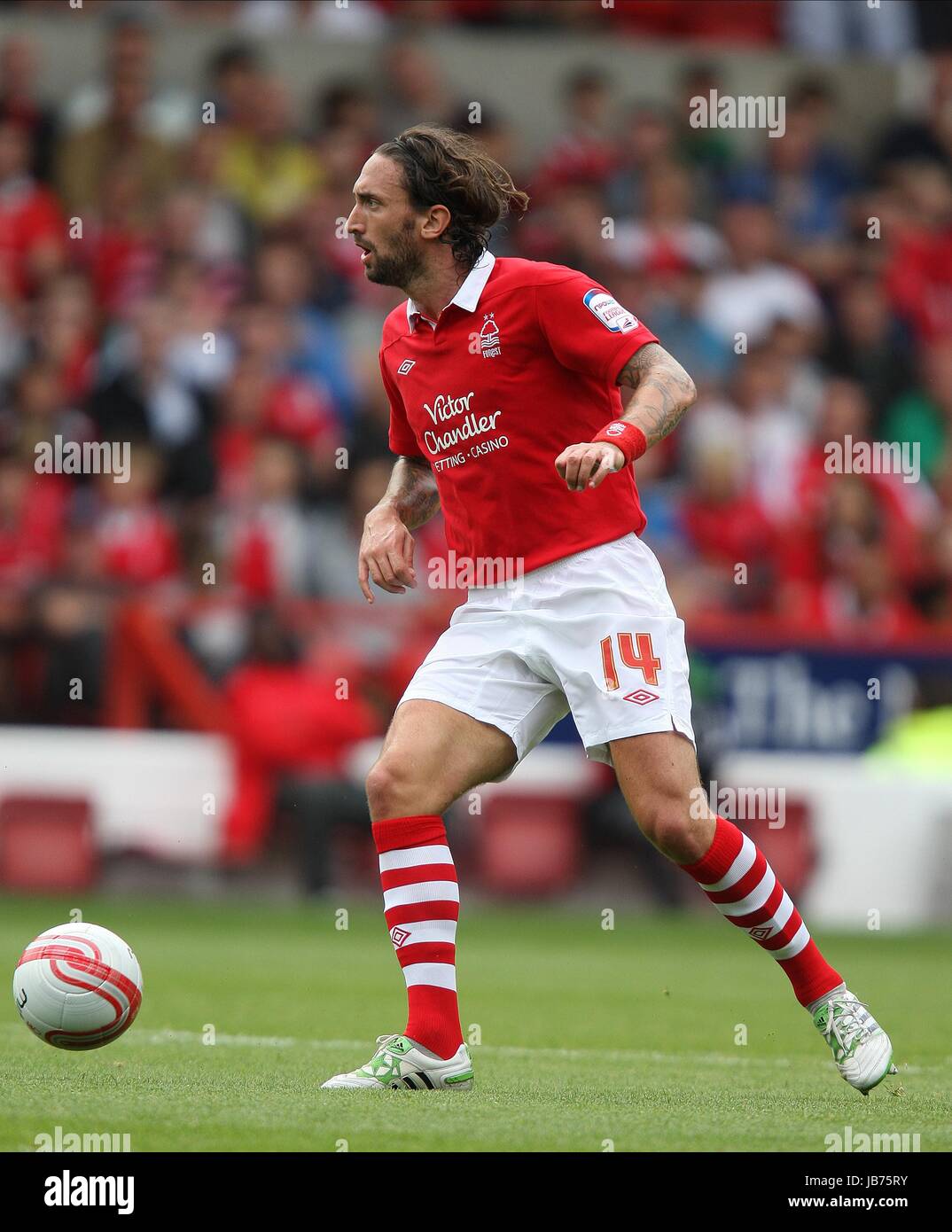 Jonathan greening forest hi-res stock photography and images - Alamy
