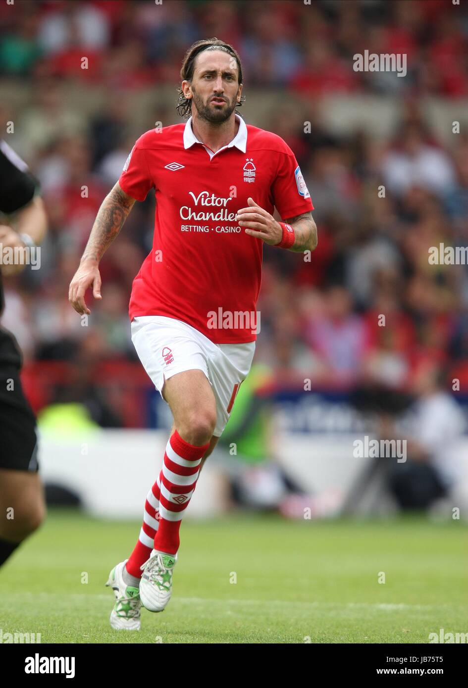 Jonathan greening forest hi-res stock photography and images - Alamy