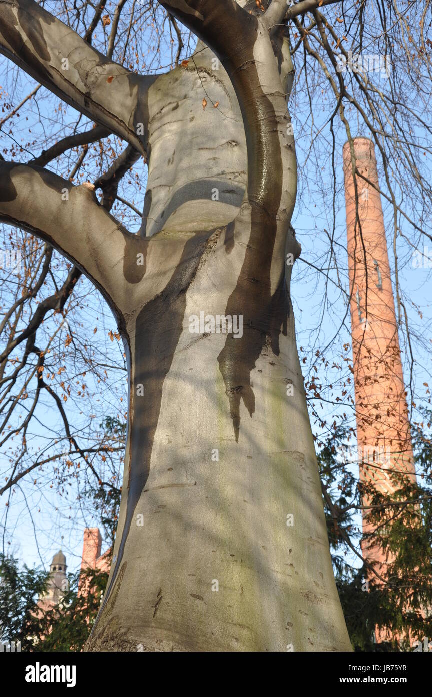 fresh water pond Stock Photo - Alamy