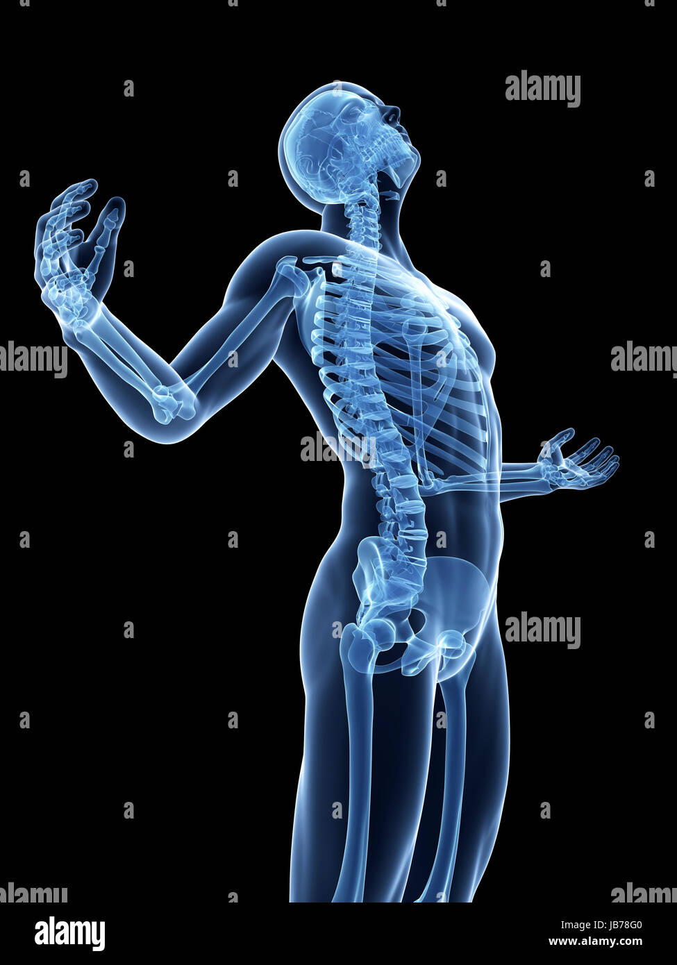 male posing - visible skeleton Stock Photo - Alamy