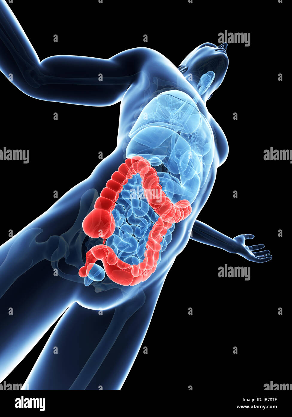 male posing - visible colon Stock Photo - Alamy