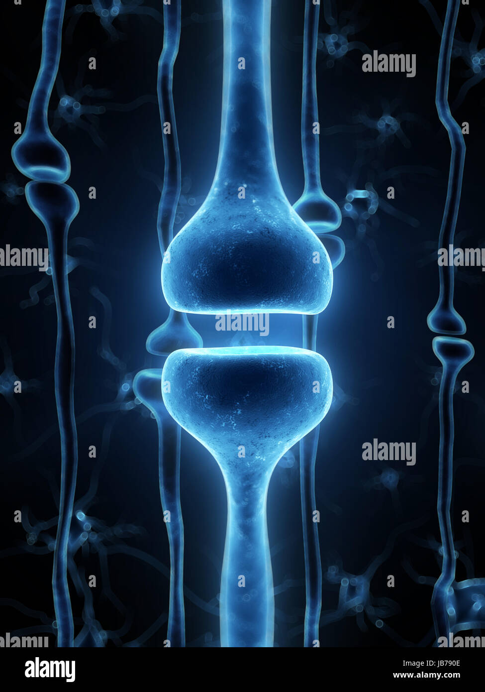 Human nervous system 3d rendered hi-res stock photography and images ...