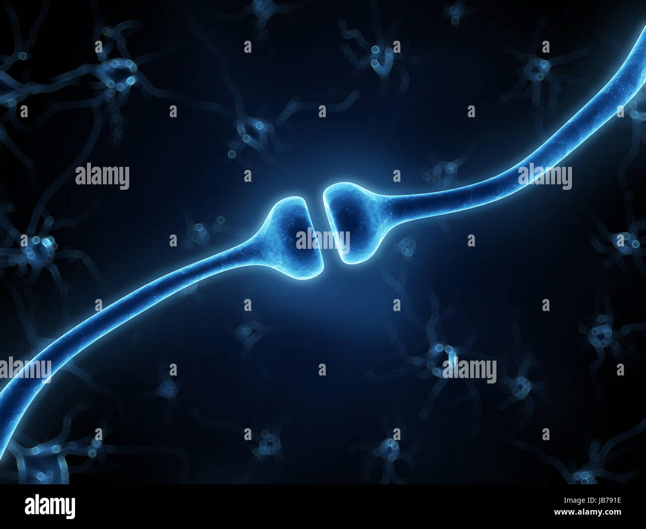 3d rendered illustration of a human receptor Stock Photo - Alamy