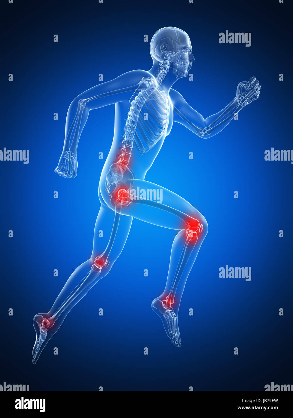 Bones and joints of a runner hi-res stock photography and images - Alamy