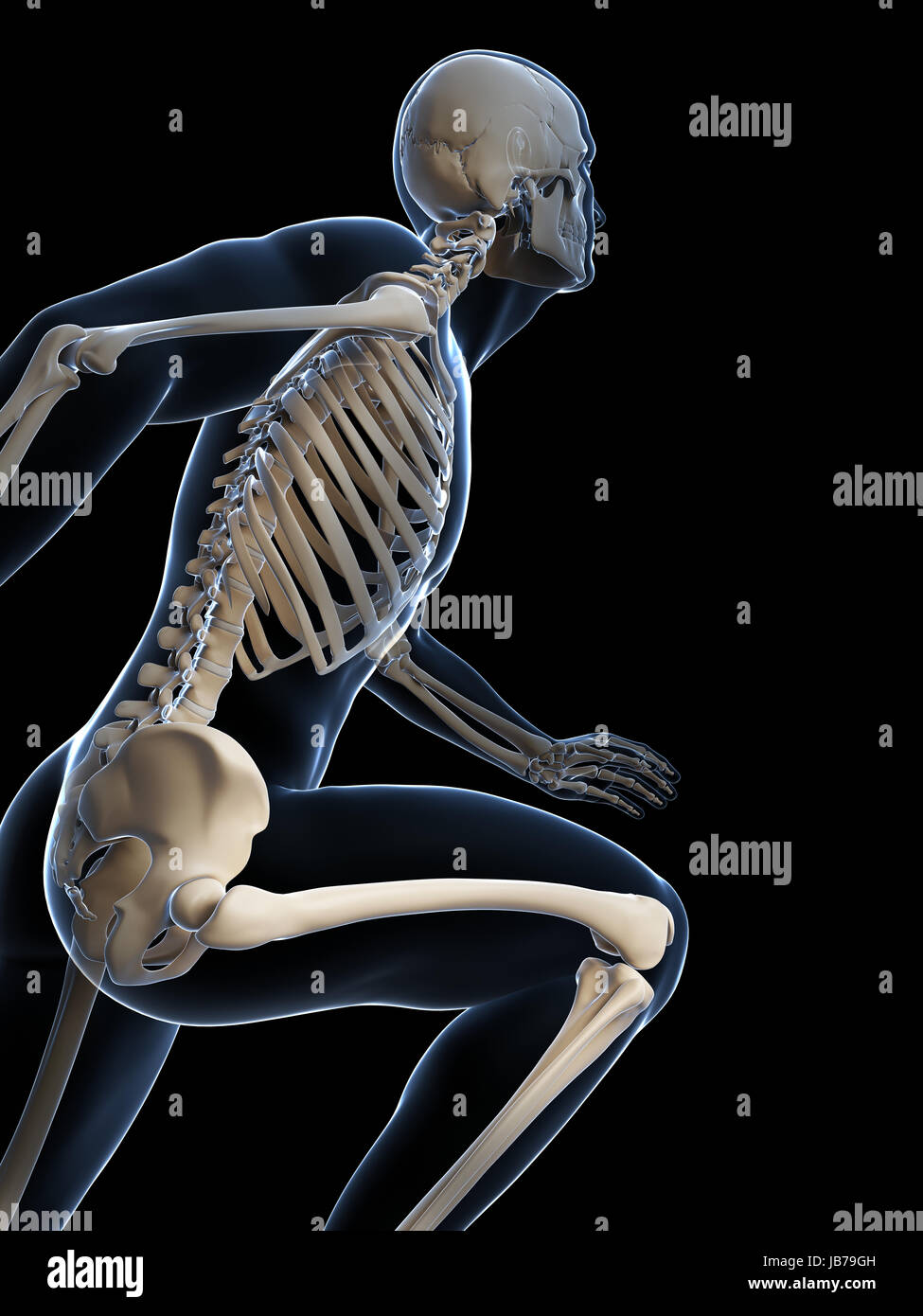 3d rendered illustration - runner anatomy Stock Photo - Alamy