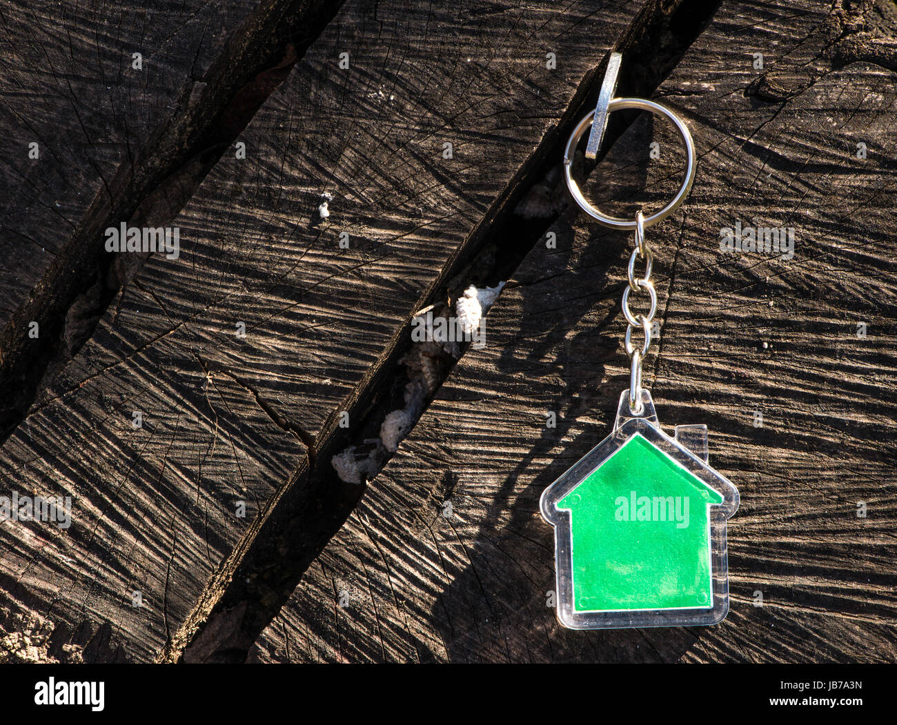 Keychain in a shape of house on wood. Green color house Stock Photo - Alamy