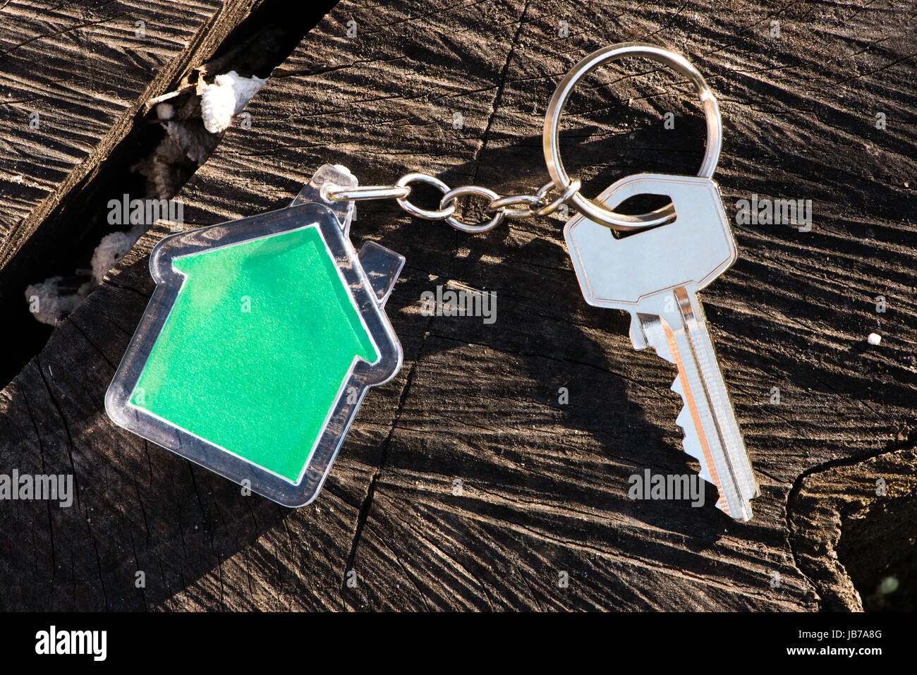 Keychain in a shape of house on wood. Green color house Stock Photo - Alamy