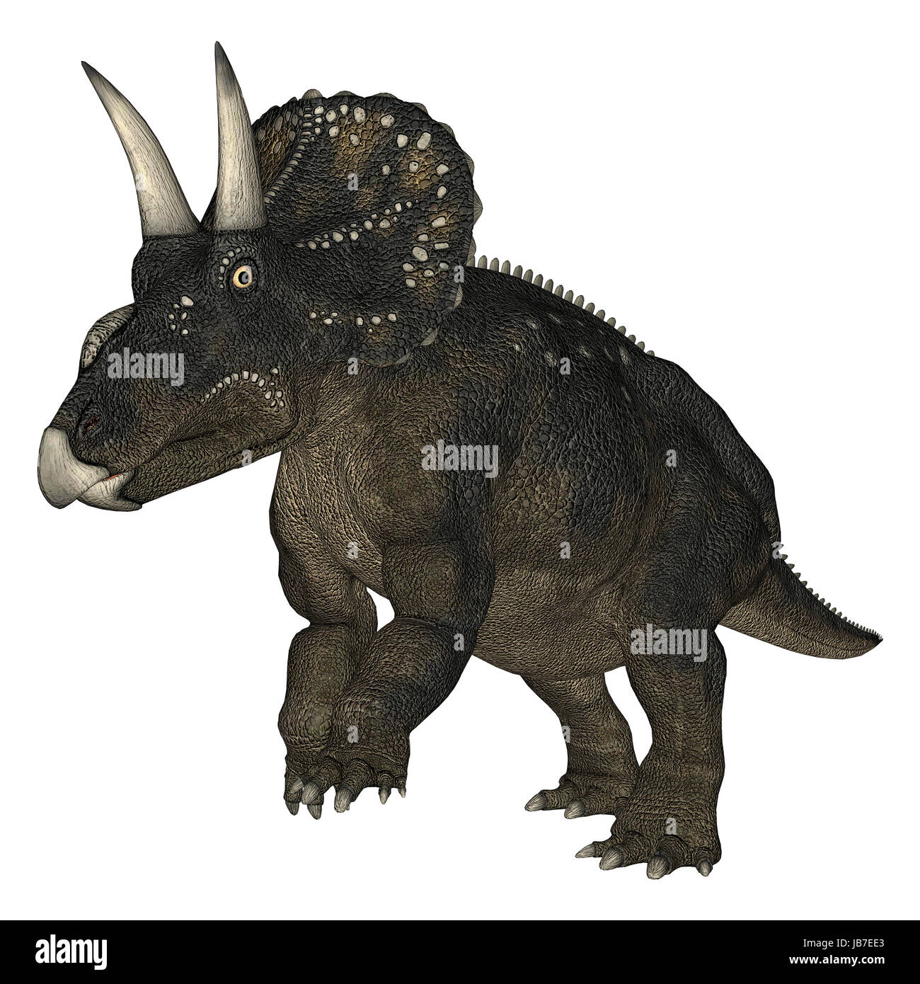 3D digital render of a dinosaur Diceratops isolated on white background ...