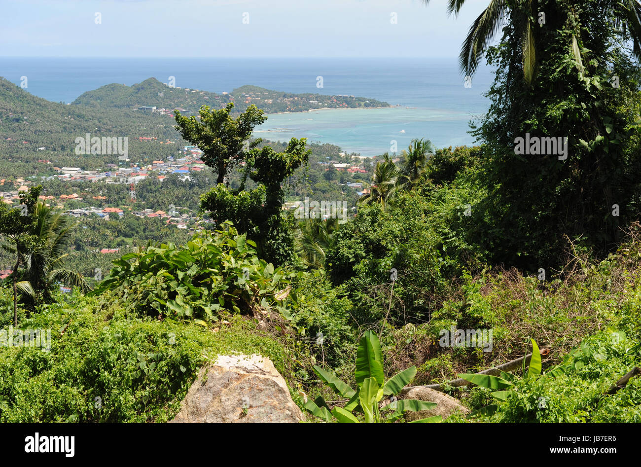 Beautiful aerial view of Lamai beach, Thailand Stock Photo - Alamy