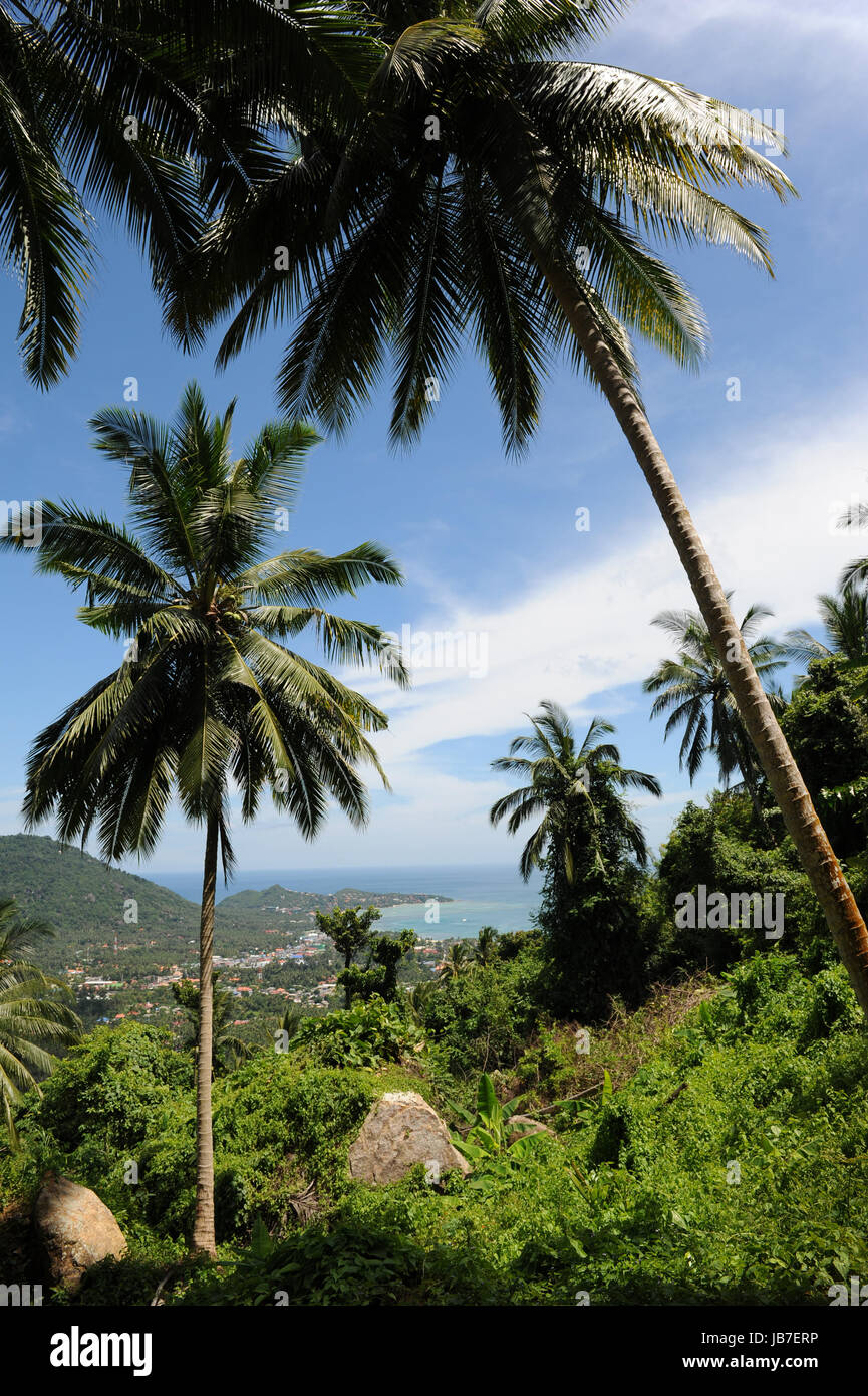Aerial view of a beach Lamai, Thailand Stock Photo - Alamy