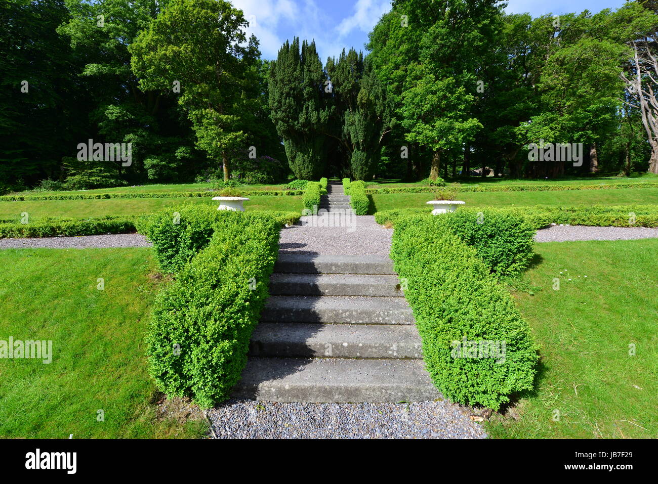 Stone steps and pathway at a country estate in Ireland Stock Photo - Alamy