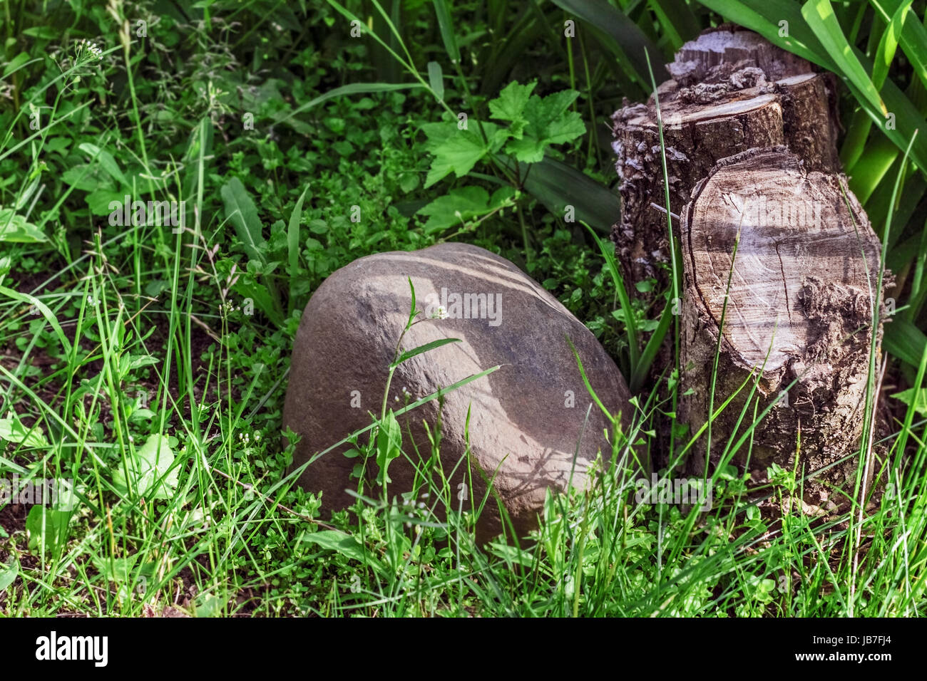 Grey stone and stump in green summer garden Stock Photo - Alamy