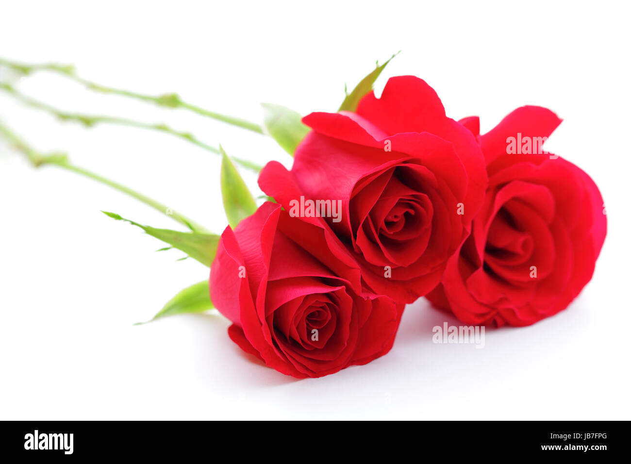 Bouquet of rose Stock Photo - Alamy