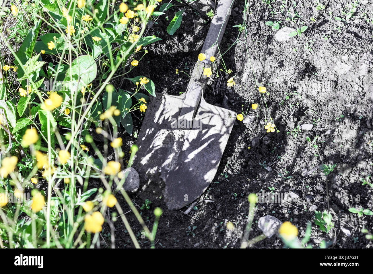 Shovel on ground at summer sunny day Stock Photo - Alamy