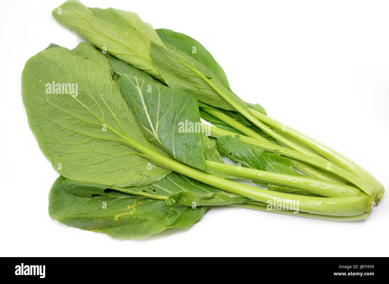 Choy sum vegetable pile close up on white background Stock Photo - Alamy