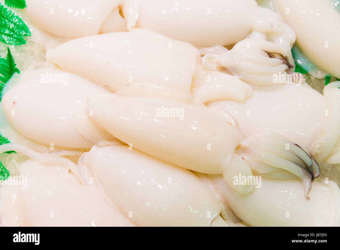 Fresh frozen large squid or cuttlefish. Raw fish Stock Photo - Alamy