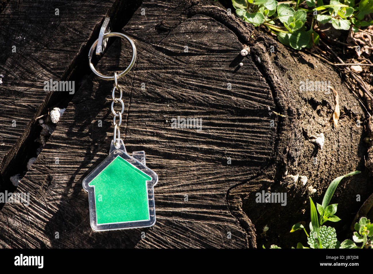 Keychain in a shape of house on wood. Green color house Stock Photo - Alamy