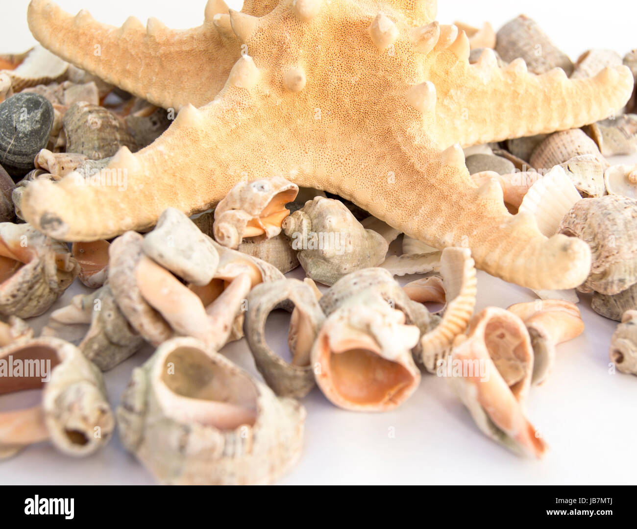 Shell splinter hi-res stock photography and images - Alamy