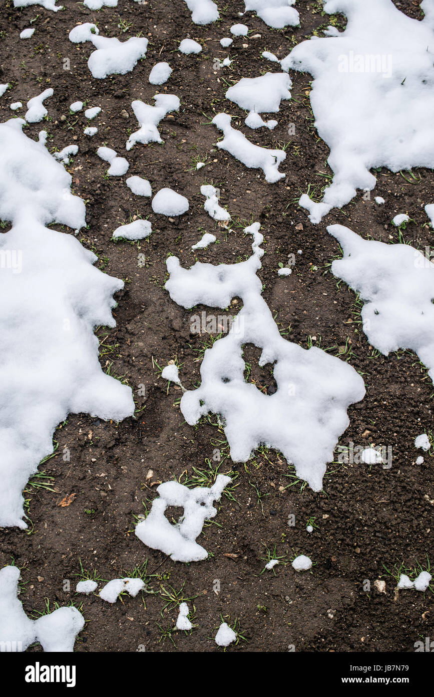 Melting snow showing land hi-res stock photography and images - Alamy