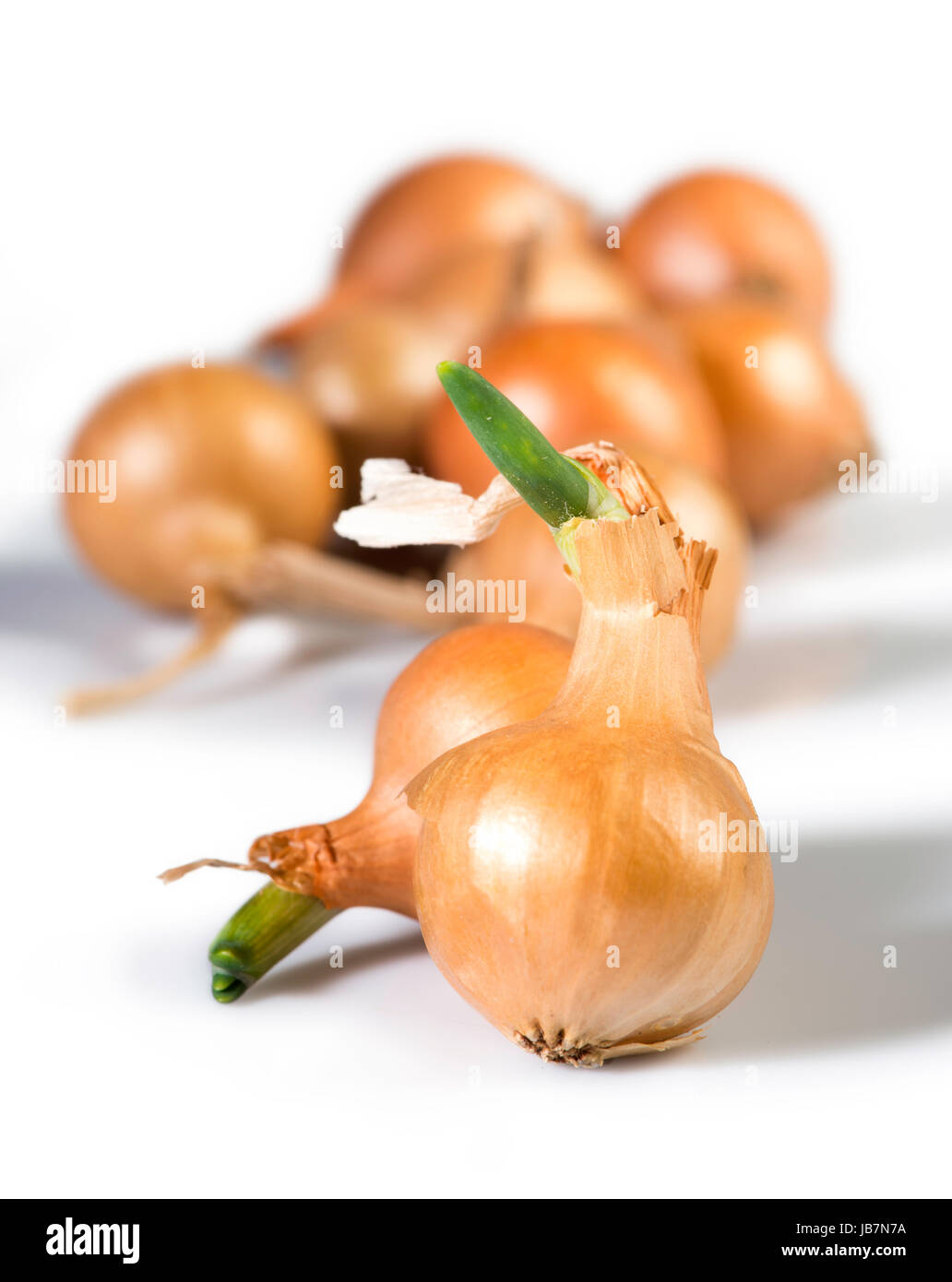 Small onions on white background Stock Photo - Alamy