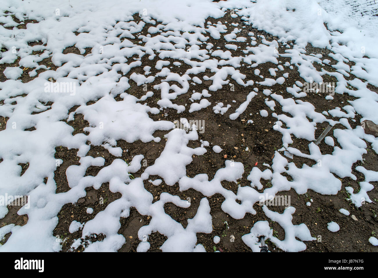 Melting snow showing land hi-res stock photography and images - Alamy