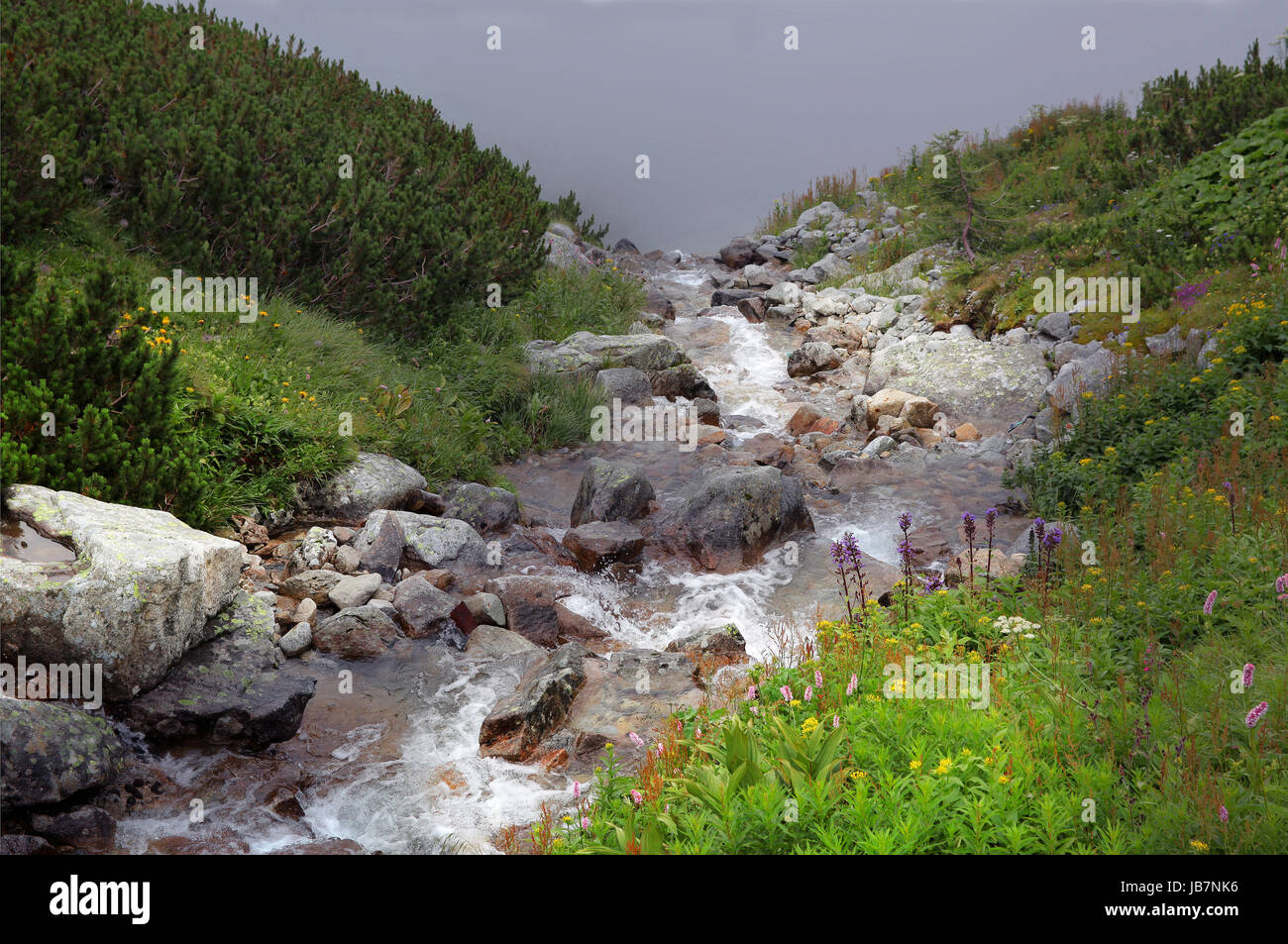 high mountain brook with cascades Stock Photo - Alamy